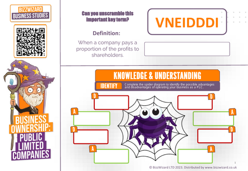 Business Ownership: Public Limited Companies - FREE Worksheet & Youtube ...
