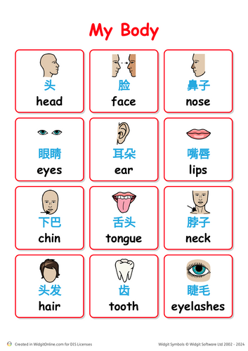 ESL ELL Printable Newcomers Bilingual English-Chinese Flashcard Set 45 ...