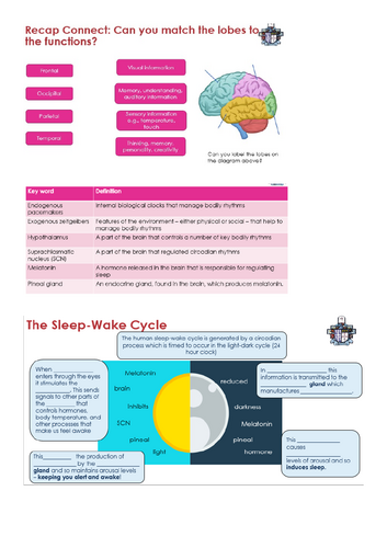 OCR GCSE Psychology: Sleep & Dreaming | Teaching Resources