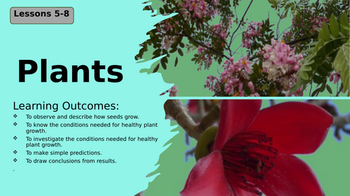 Plants - Science unit of work (KS1) | Teaching Resources