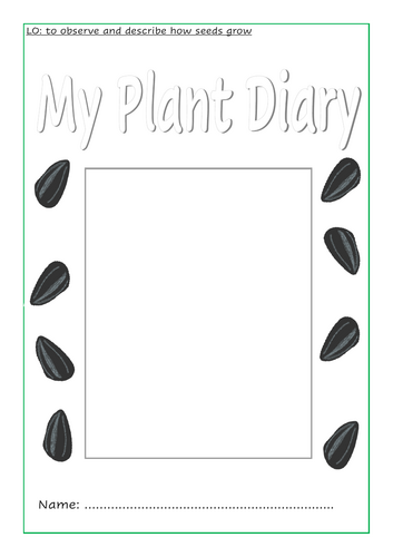 Plants - Science unit of work (KS1) | Teaching Resources