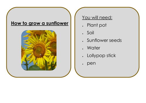 Plants - Science unit of work (KS1) | Teaching Resources