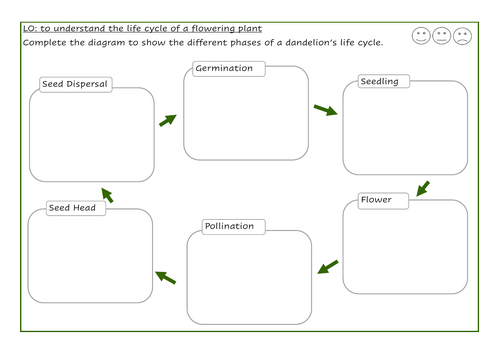 Plants - Science unit of work (KS1) | Teaching Resources