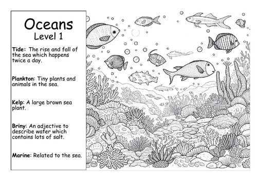 Word of the Day - Oceans - Level 1 | Teaching Resources