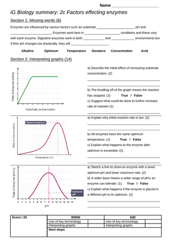 iGCSE Biology 2c: Enzyme factors - summary sheet | Teaching Resources