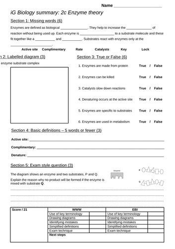 iGCSE Biology 2c: Enzyme theory - summary sheet | Teaching Resources