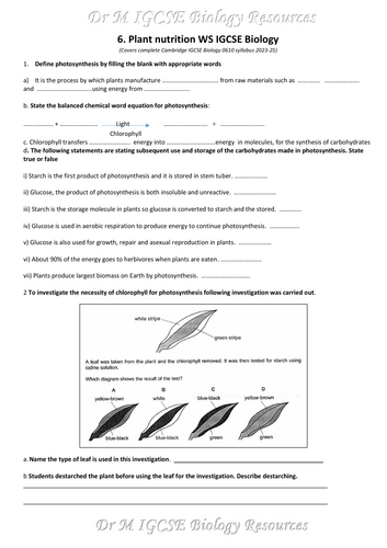 Plant nutrition IGCSE Worksheet | Teaching Resources