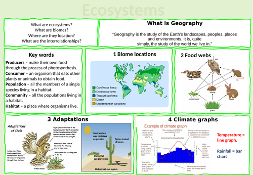 KS3 Ecosystems Knowledge Organiser | Teaching Resources