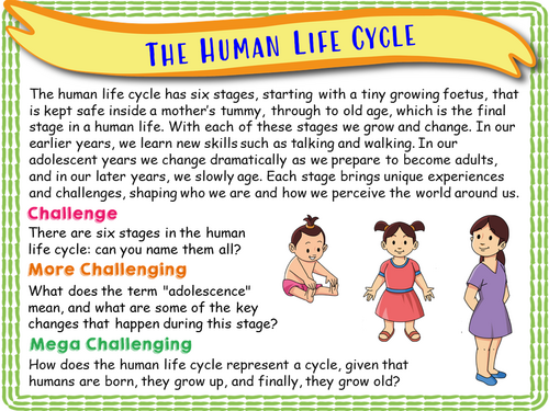 Girls Puberty Periods Teaching Resources