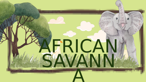 African Savanna Year 1 Unit | Teaching Resources