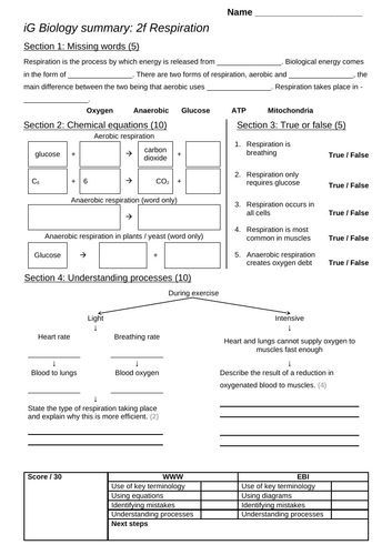 iGCSE Biology 2f: Respiration - summary sheet | Teaching Resources