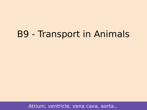 B9 Transport in Animals IGCSE Biology L1 | Teaching Resources
