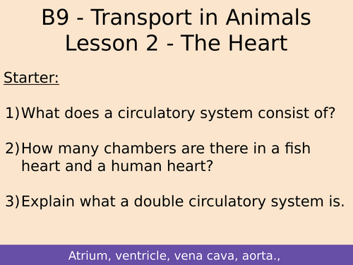 B9 Transport in Animals IGCSE Biology L2 | Teaching Resources