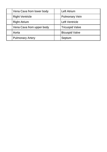 B9 Transport in Animals IGCSE Biology L2 | Teaching Resources