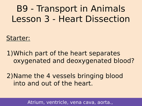 B9 Transport in Animals IGCSE Biology L3 | Teaching Resources