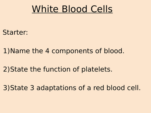 B9 Transport in Animals IGCSE Biology L8 | Teaching Resources