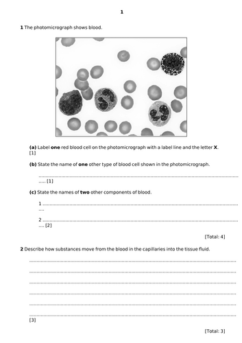 B9 Transport in Animals IGCSE Biology L8 | Teaching Resources