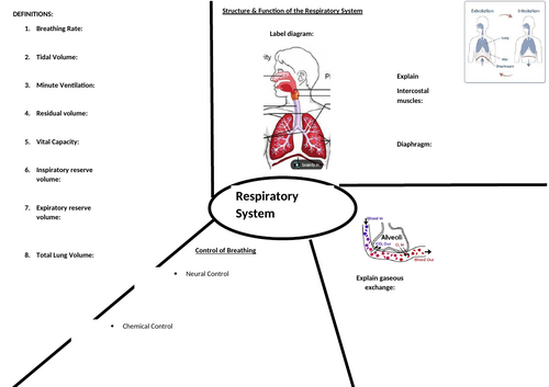 BTEC SPORT Unit 1 Revision Mind maps | Teaching Resources