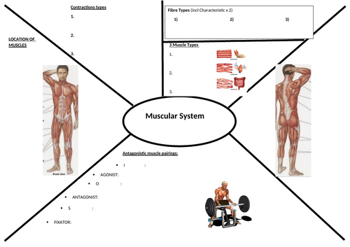 BTEC SPORT Unit 1 Revision Mind maps | Teaching Resources