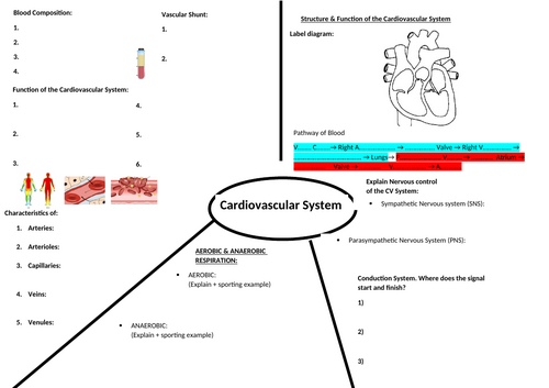 BTEC SPORT Unit 1 Revision Mind maps | Teaching Resources