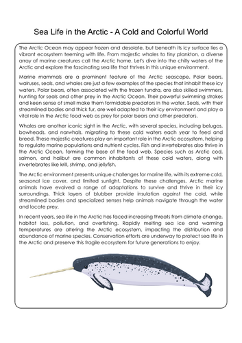 5x Arctic Themed Reading Comprehension Worksheets | Teaching Resources