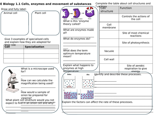 Year 10 biology revision place-mats | Teaching Resources