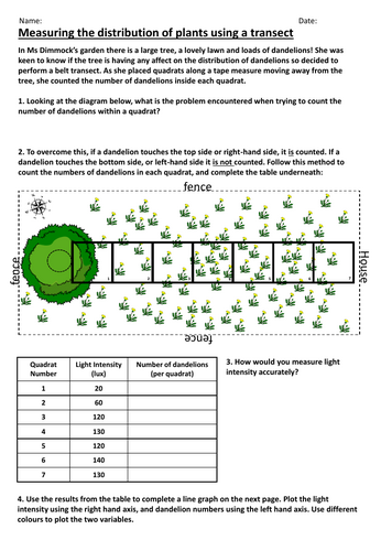 Sampling Plants 2 X Worksheets - GCSE - Biology - Ecology - Quadrats ...