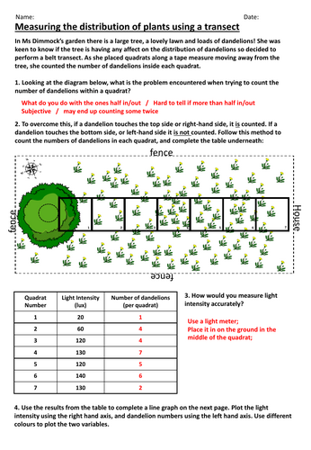 Sampling Plants 2 X Worksheets - GCSE - Biology - Ecology - Quadrats ...
