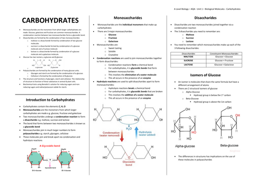 Carbohydrates Summary Sheet (AQA A-Level Biology) | Teaching Resources