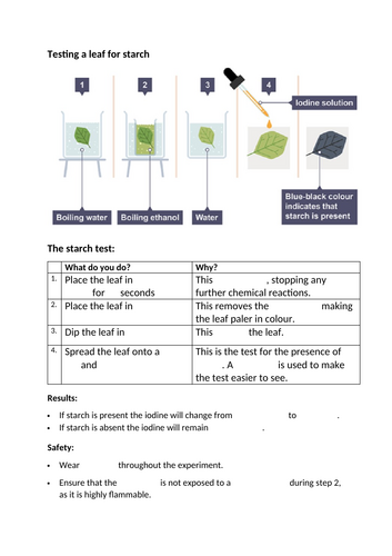 Testing a leaf for starch Cloze worksheet | Teaching Resources