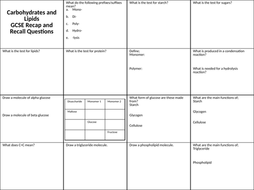 A Level Biology Carbohydrate Lipid Activity Booklet Exam Notes ...