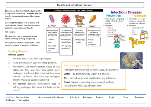 KS3 Science Biology Knowledge organiser | Teaching Resources