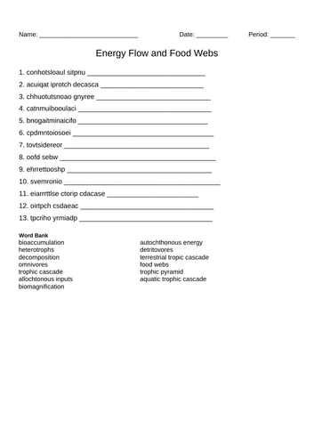 Energy Flow and Food Webs Word Scramble for an Ecology Course ...