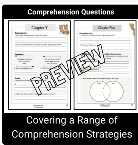 WANDI Novel Study | Teaching Resources