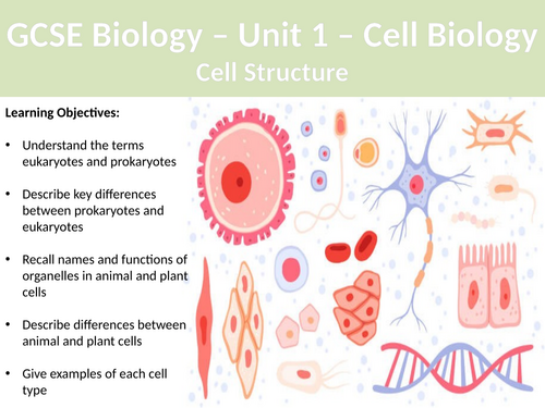 GCSE Biology - Cell Structure | Teaching Resources