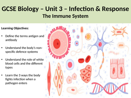 GCSE Biology - The Immune System | Teaching Resources