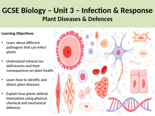 GCSE Biology - Plant Disease & Defence | Teaching Resources