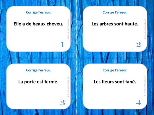 Corrige l'erreur (Accord des adjectifs et noms) 28 CAT / French Grammar ...