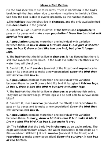 Make a Bird Evolve | Teaching Resources