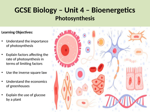 GCSE Biology - Photosynthesis | Teaching Resources