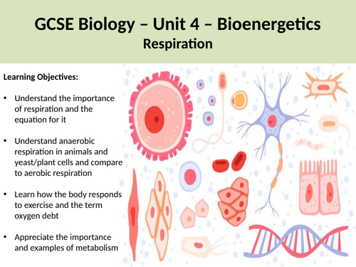 GCSE Biology - Respiration | Teaching Resources