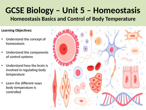 GCSE Biology - Homeostasis & Body Temperature | Teaching Resources