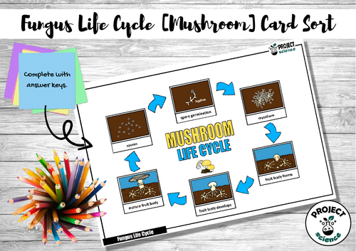 Fungus Life Cycle [Mushroom] Card Sort [Cut and Paste Activity ...