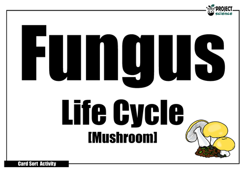 Fungus Life Cycle [Mushroom] Card Sort [Cut and Paste Activity ...