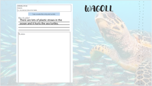 Sea turtle endangered species lesson bundle. | Teaching Resources