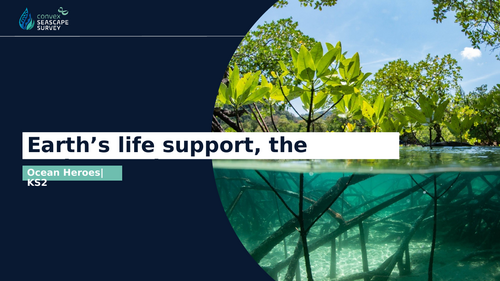 Ocean Heroes KS2 Climate, carbon, and the ocean | Teaching Resources