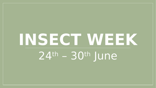 Insect Week Assembly | Teaching Resources