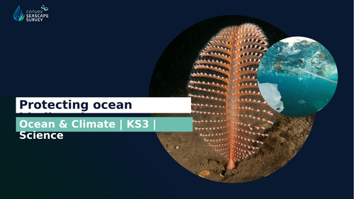 Ocean & Climate KS3 Protecting biodiversity | Teaching Resources