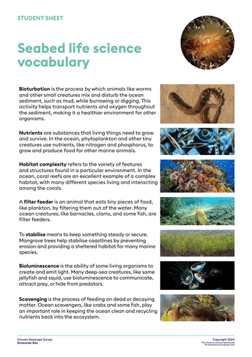Ocean & Climate KS3 Protecting biodiversity | Teaching Resources