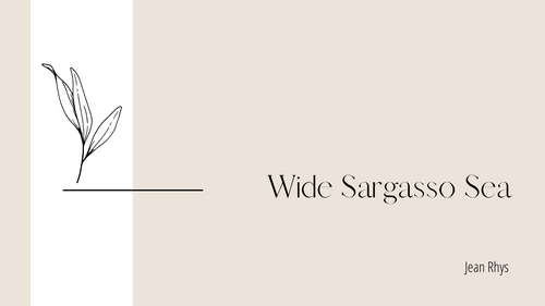 Wide Sargasso Sea - IBDP LangLit Novel Study PPT Bundle/printable class ...